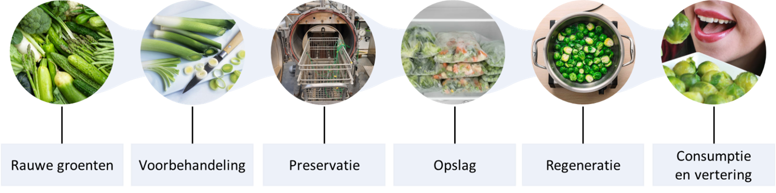 Van rauwe groente tot gezond en lekker product: de eerste resultaten ...