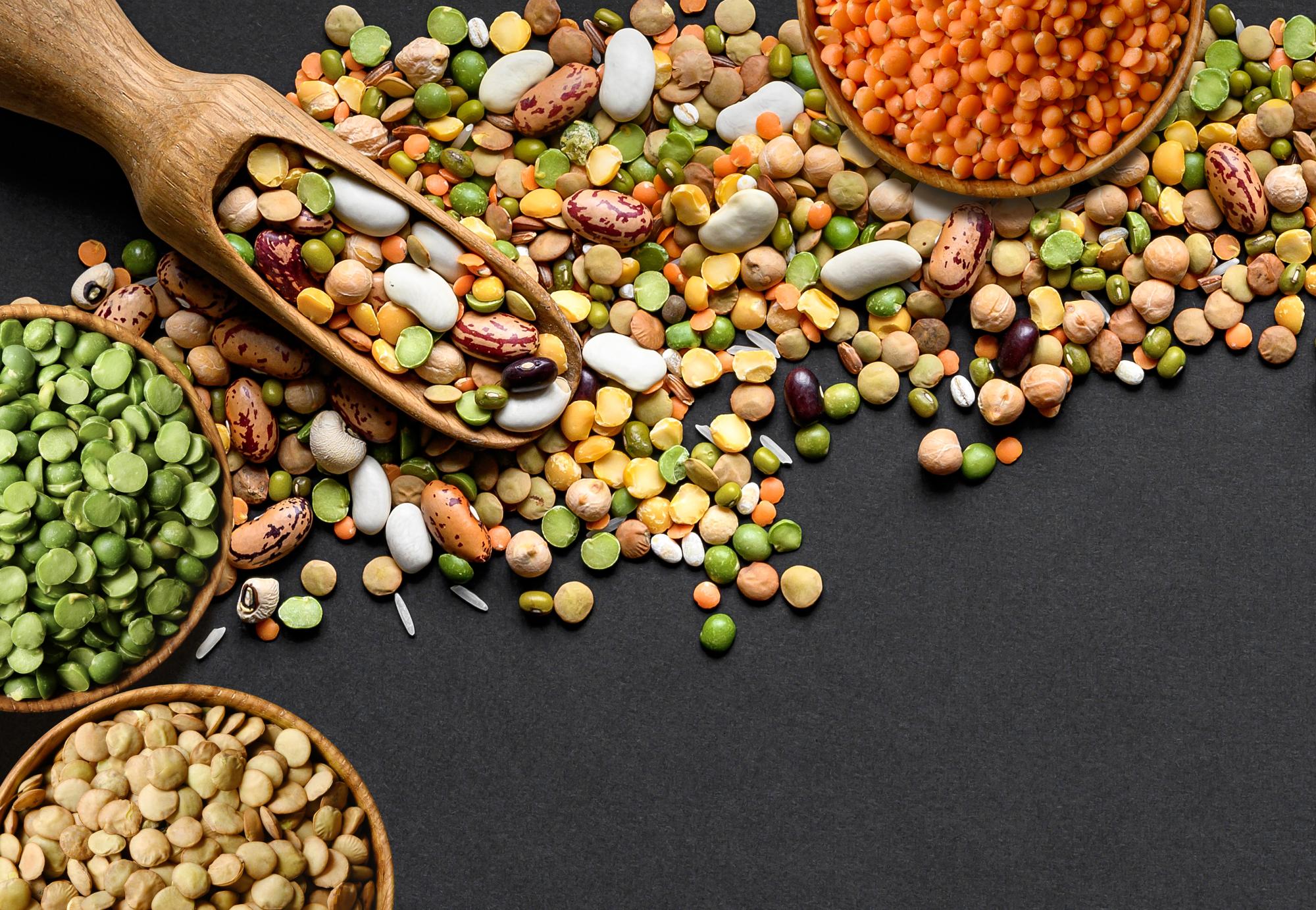 PulseBake - Flanders' FOOD